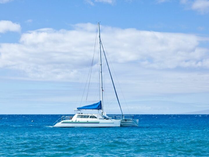 What is a Catamaran Cruise? (A Complete Guide)